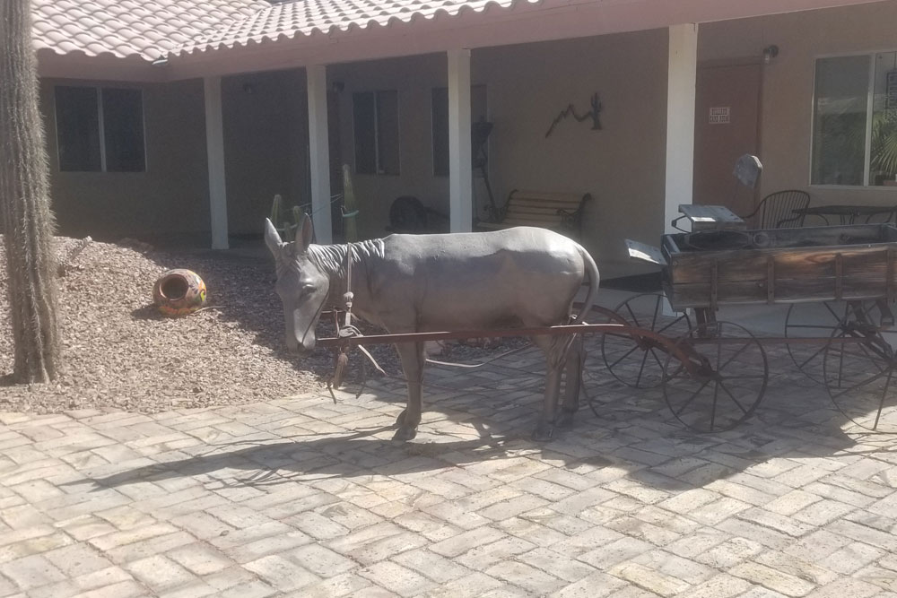 Photo Gallery of Mountain Cactus Ranch in Yuma Arizona